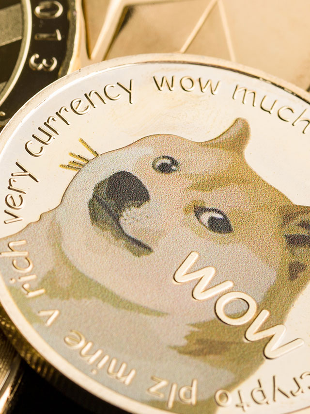 Meme Coin – JNews Gag